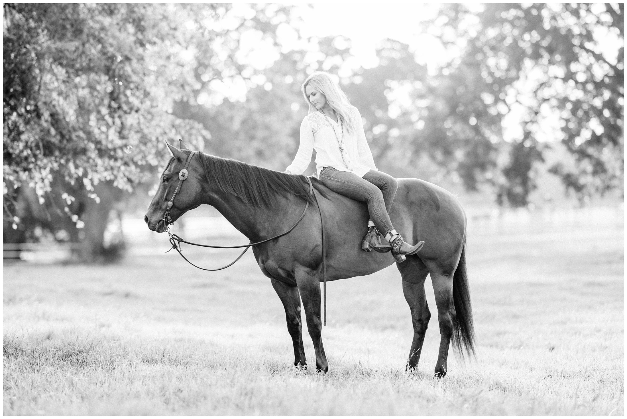 Equine Photography Online Courses - Kirstie Marie Photography Mentorship