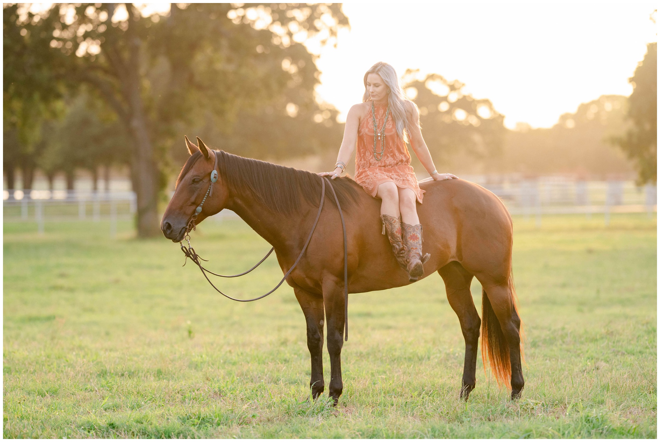 Equine Photography Online Courses - Kirstie Marie Photography Mentorship